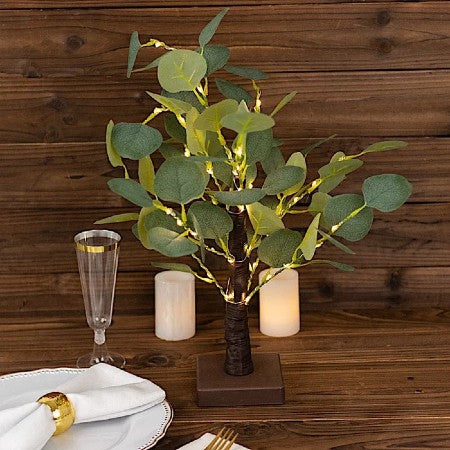 Pom decorativ luminat , Eucalipt